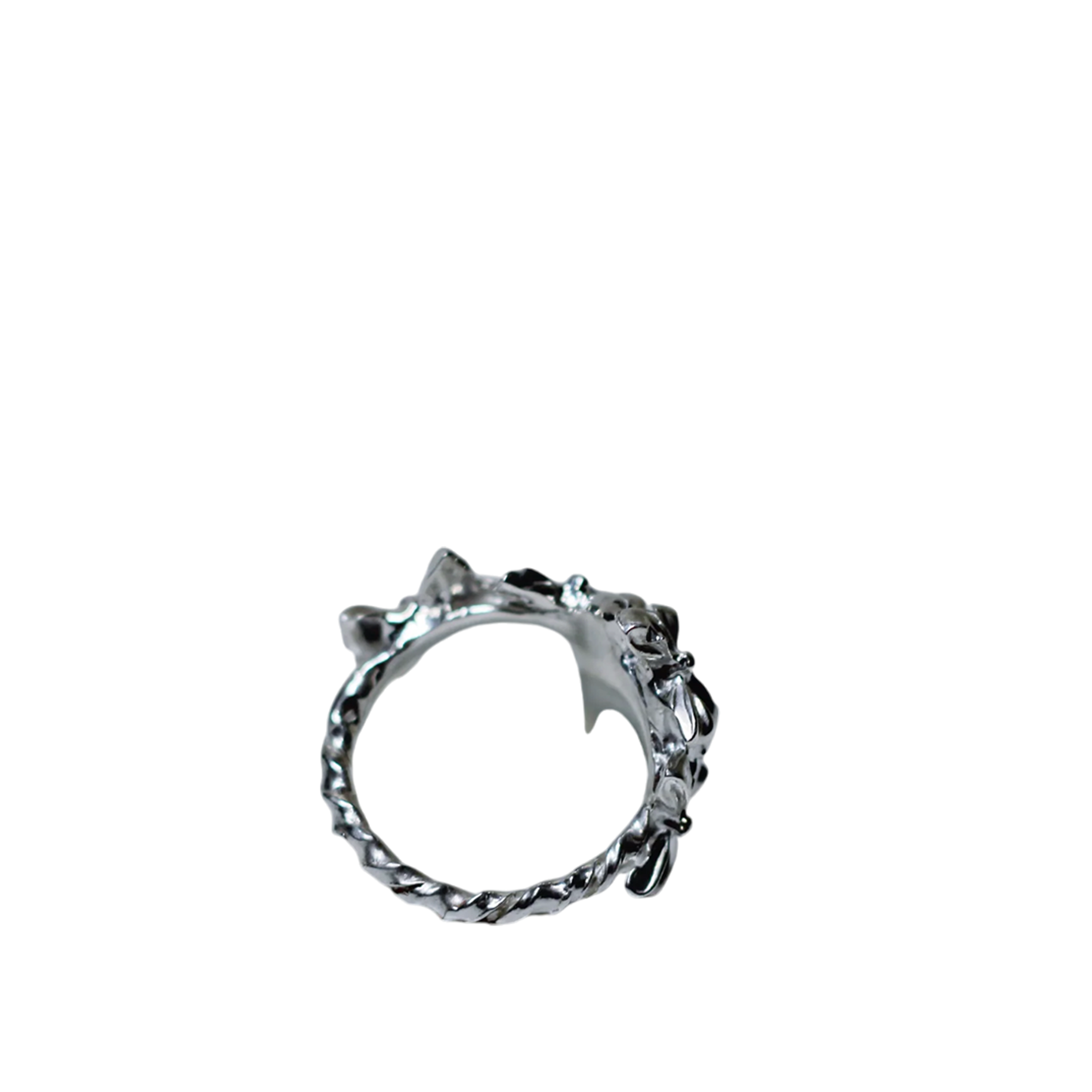 Aphrodite Ring – L'Oeuvre